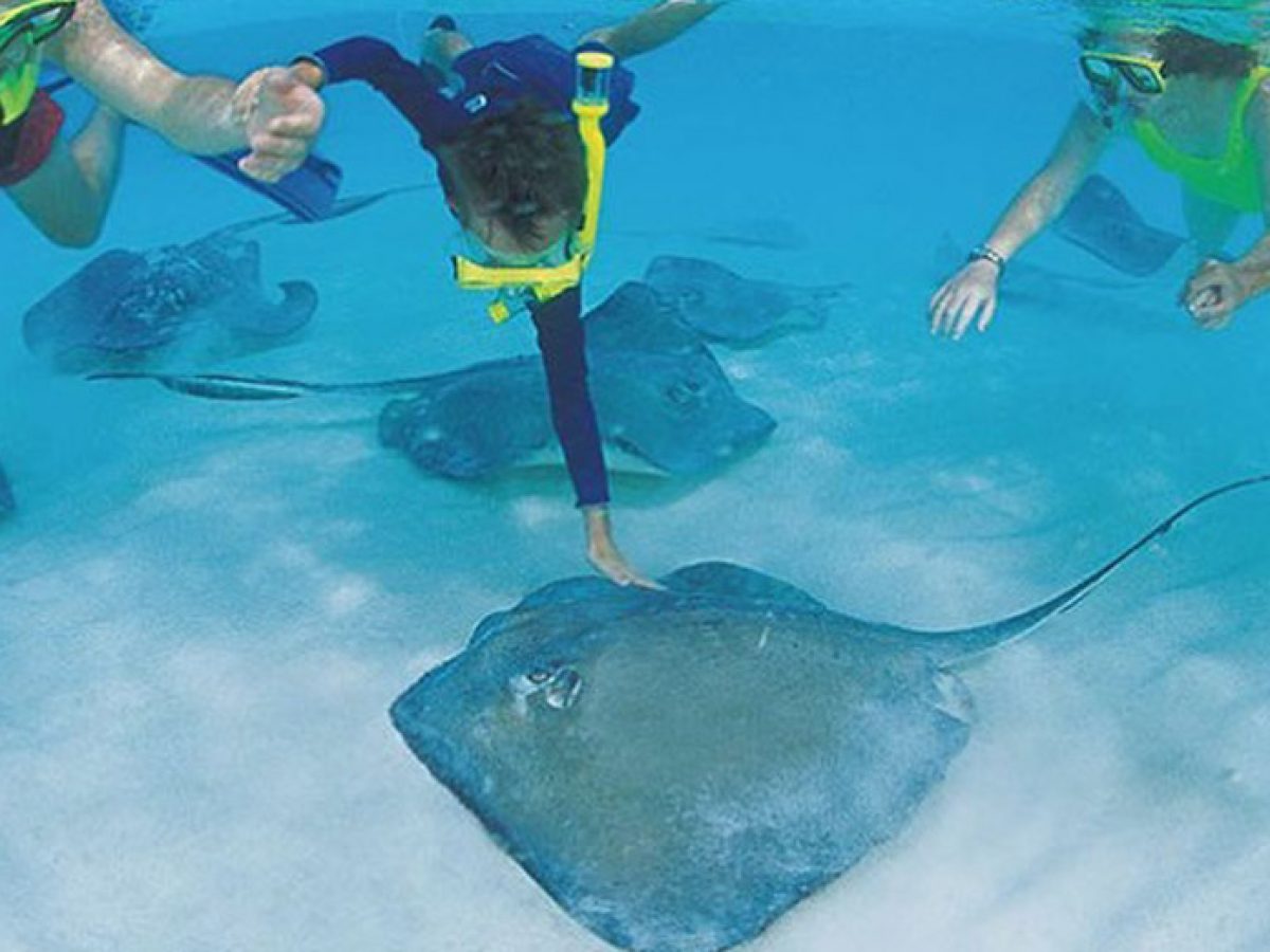 CAYTOURS • A true Caymanian experience.