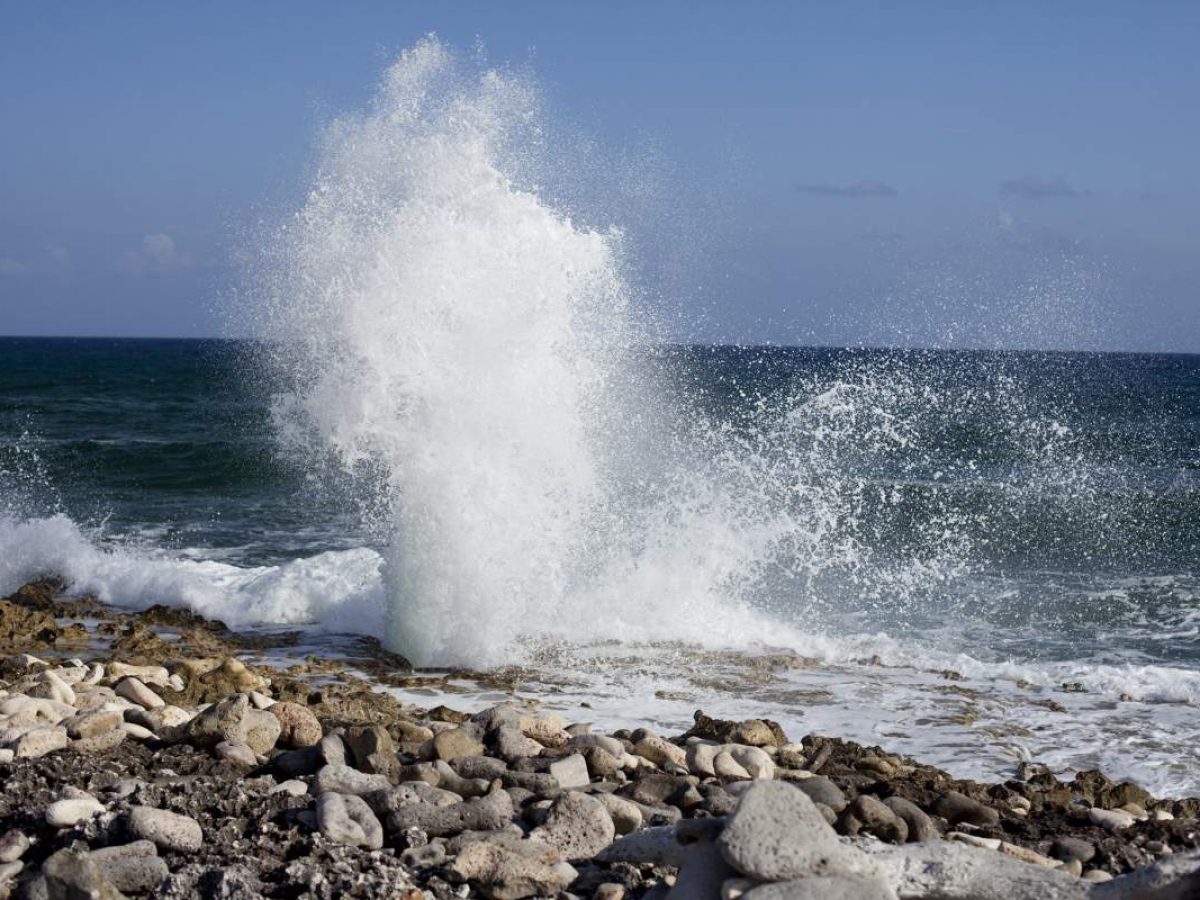 CAYTOURS • A true Caymanian experience.